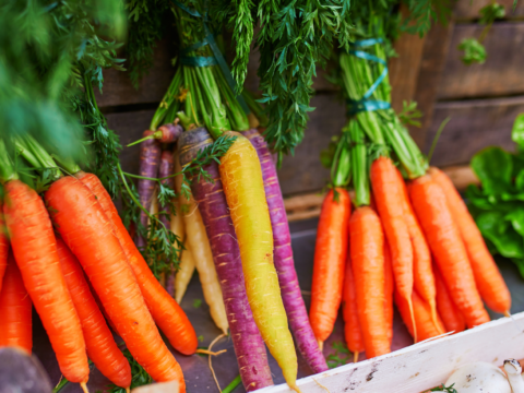 Exploring the world of carrots: the different varieties, colours, and ...
