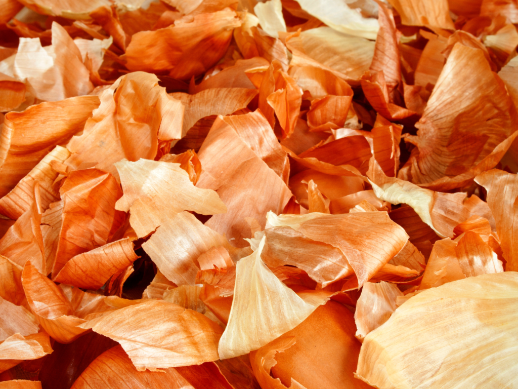 Onion Skin Packaging: Turning Waste into Sustainable Solutions - Onion ...