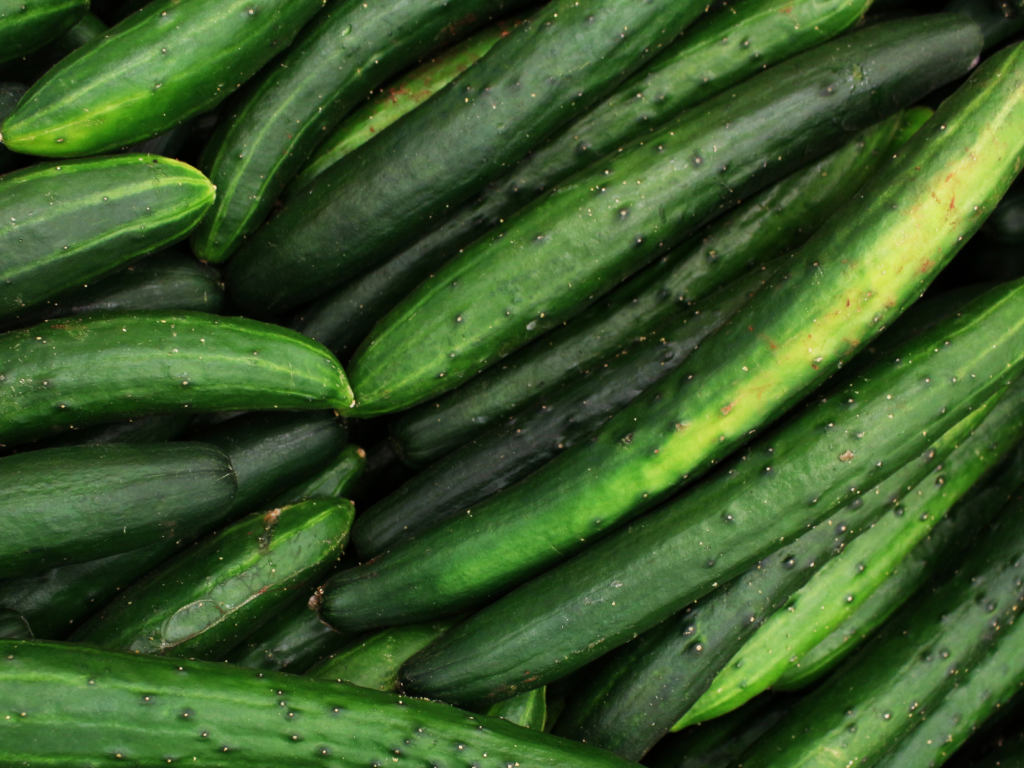Interesting facts about cucumbers you might not know - Food Processing ...